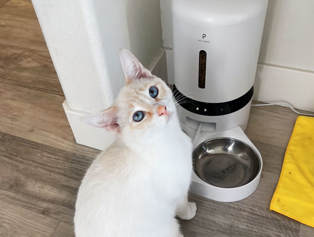 PETLIBRO UK