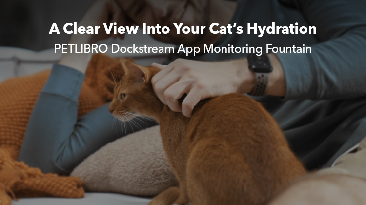PETLIBRO Dockstream App Monitoring Water Fountain