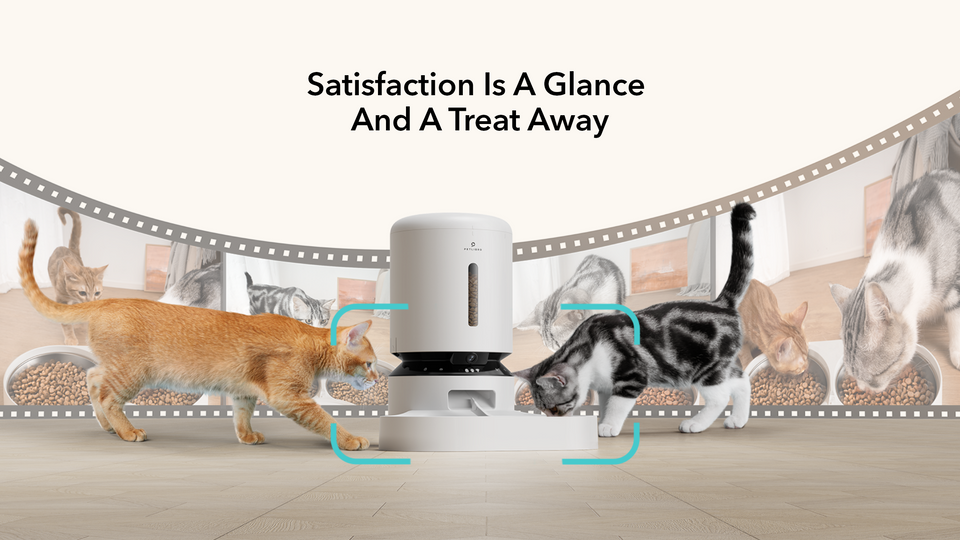 PETLIBRO Granary Automatic Smart Pet Feeder With Camera