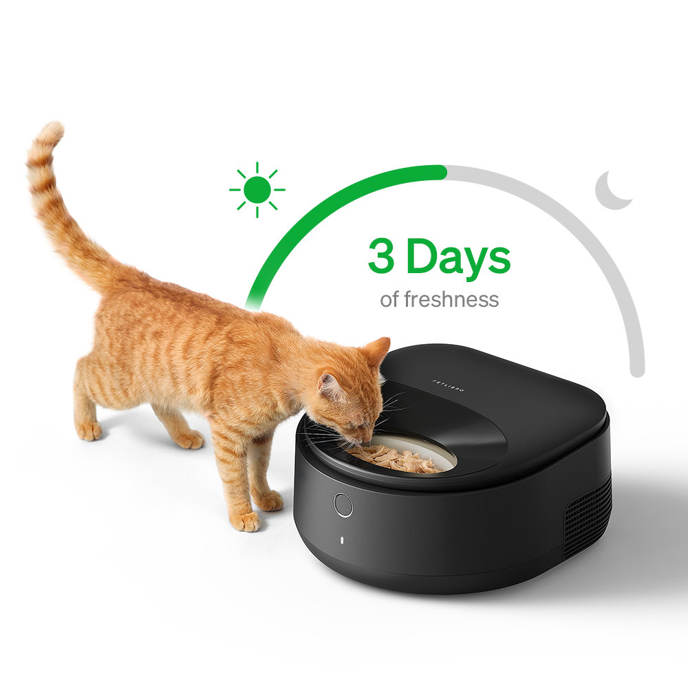 PETLIBRO Polar Wet Food Feeder – PETLIBRO UK